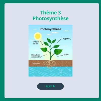 Tle Spé flash cards T3C2