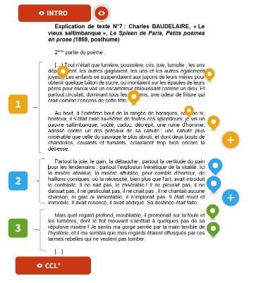 STMG3 Le vieux saltimbanque