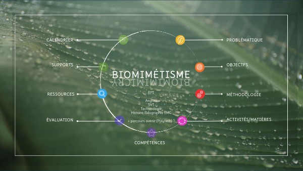 EPI Biomimétisme | Genially