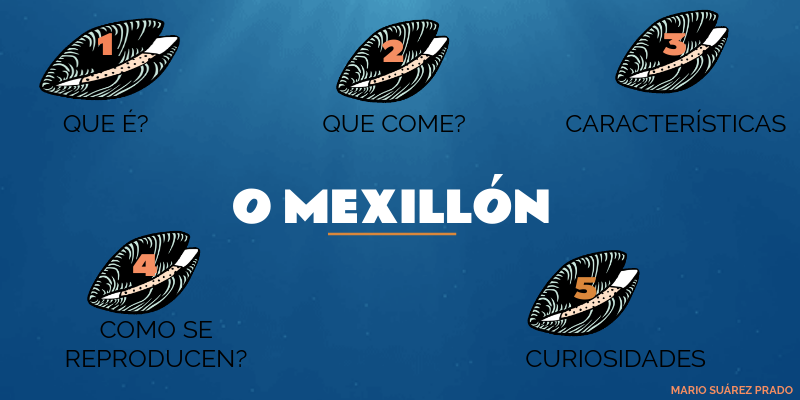 O MEXILLÓN