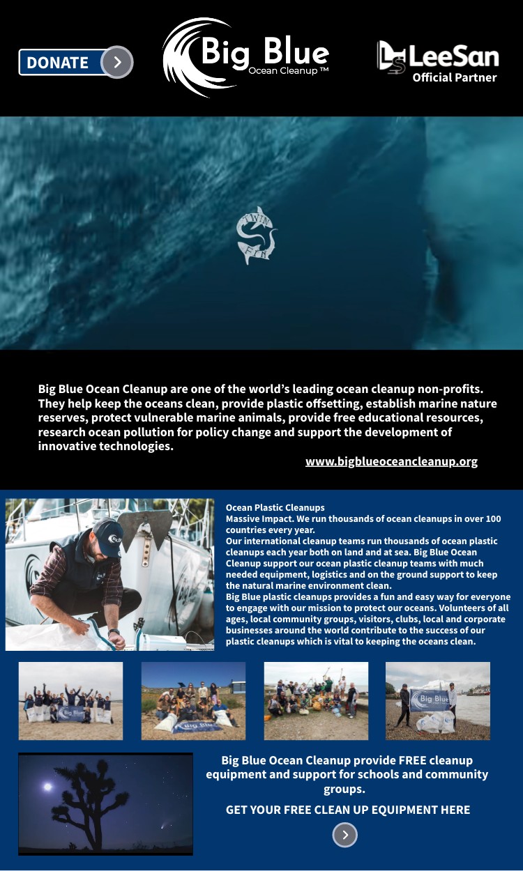 Big Blue Ocean Clean Up