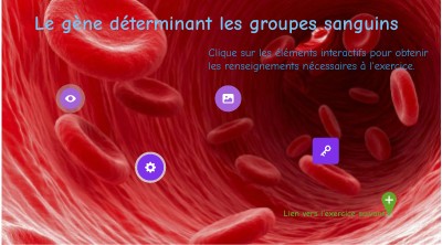 Le gène déterminant les groupes sanguins