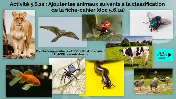 act5.6.1a | Genially