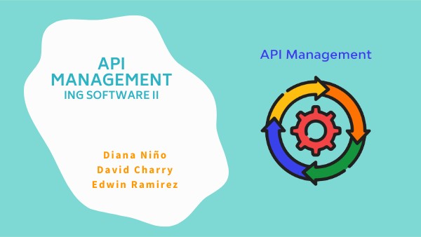 API MANAGEMENT
