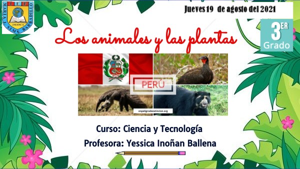 LOS ANIMALES Y LAS PLANTAS