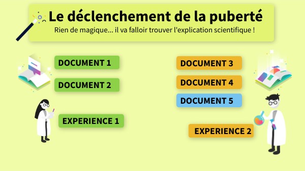 Déclenchement de la puberté | Genially