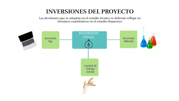 INVERSIONES DEL PROYECTO | Genially