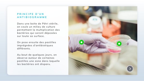 Antibiogramme | Genially