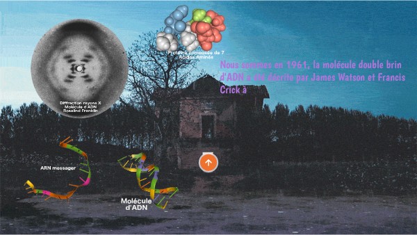 Le code secret de la vie | Genially