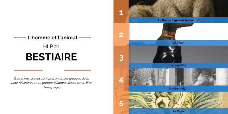 Bestiaire HLP | Genially