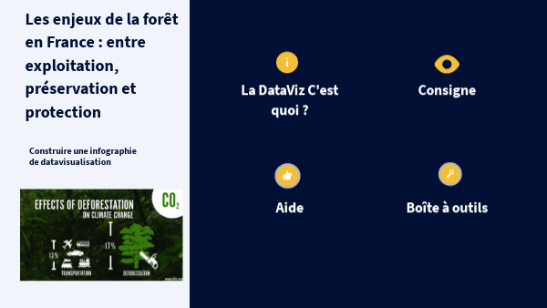 DataViz_Forêt | Genially