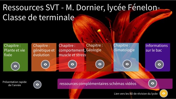 classe SVT Terminale | Genially