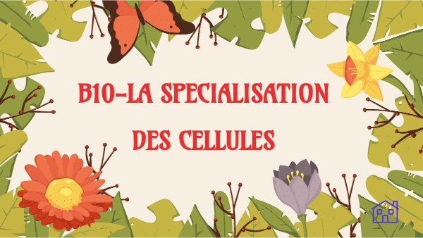 B10-cellules spécialisées