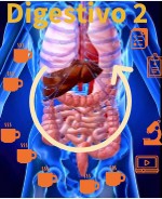 DIGESTIVO 2 | Genially