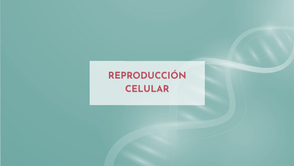 Reproducción celular