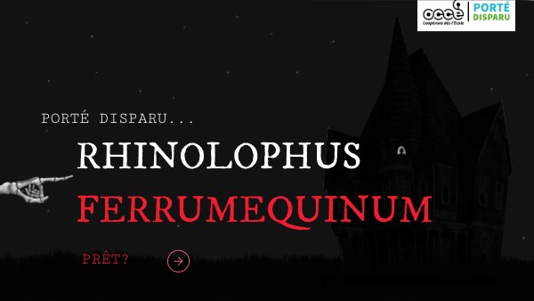 Porté disparu Rhino | Genially