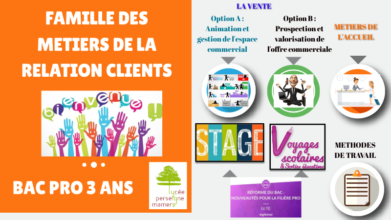 Présentation du pôle MRC | Genially