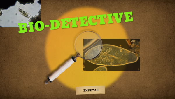 BioDetective