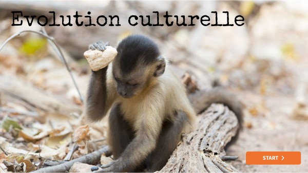 Evolution culturelle | Genially