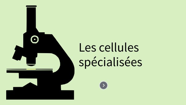 Les cellules spécialisées | Genially