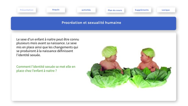 Procréation et sexualité humaine
