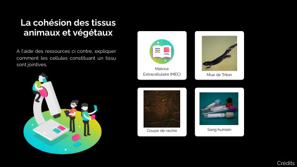 2nde_Chap1 MEC | Genially