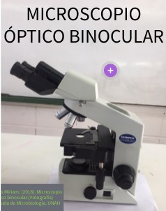 Microscopio óptico binocular. | Genially