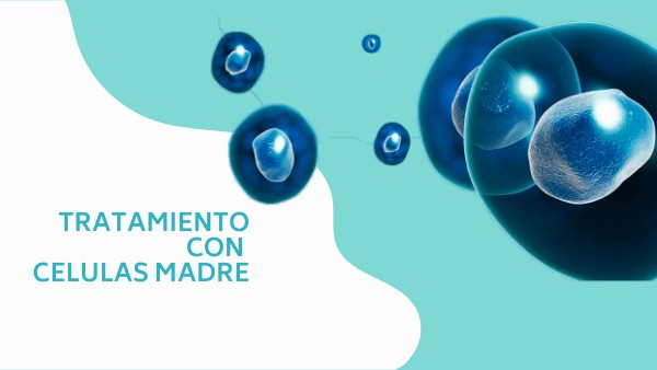 Celulas Madre