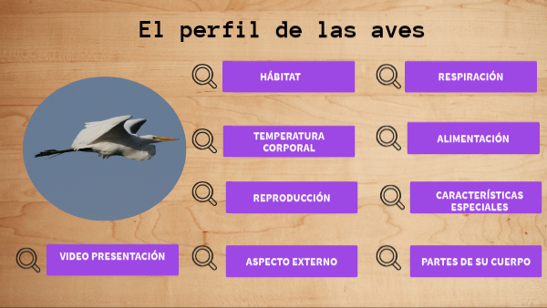 Perfil de las aves | Genially