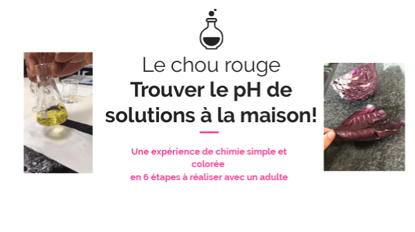 Le chou rouge, indicateur de pH