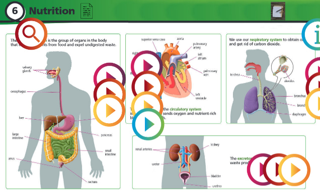 Nutrition | Genially