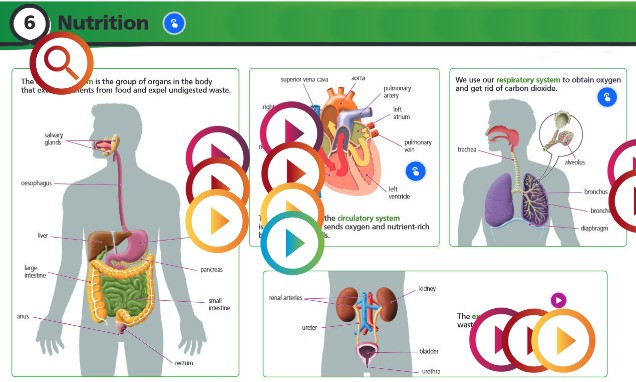 Nutrition 5ºEP | Genially