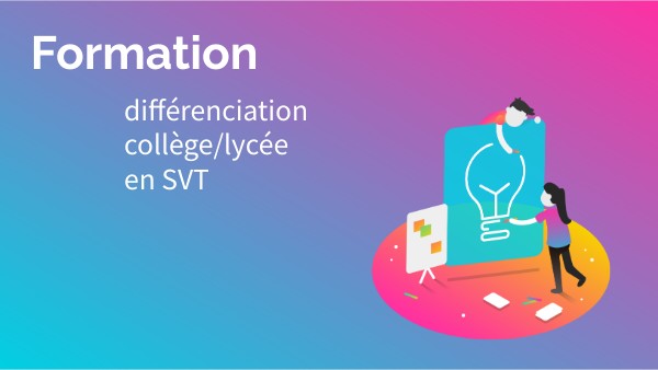 Visio/FORMATION DIFF Niv 1 2022 | Genially