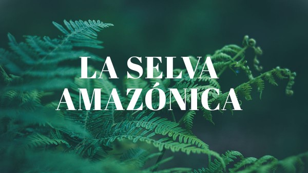 ECOSISTEMA: LA SELVA AMAZÓNICA