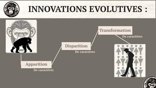ANATOMY OF THE HUMAN BODY