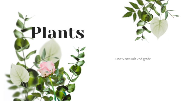 Unit 5 Plants | Genially