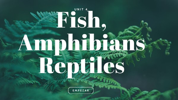Fish amphibians and reptiles | Genially