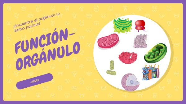 JUEGO ORGÁNULO-FUNCIÓN