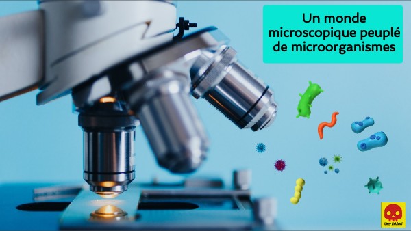 Les microorganismes | Genially