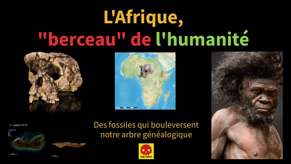 L'Afrique, berceau de l'humanité (V1)