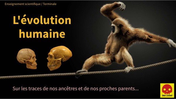 Evolution Humaine | Genially