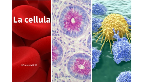 La cellula | Genially