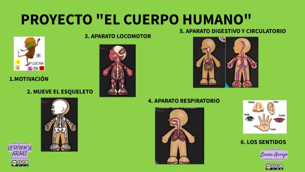 PROYECTO EL CUERPO HUMANO | Genially