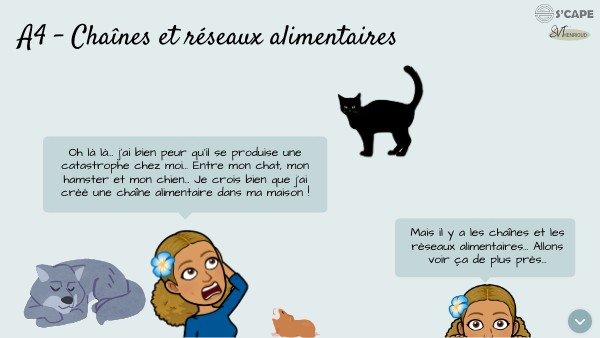 A4 - Chaînes et réseaux alimentaires | Genially