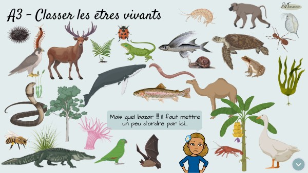A - Classer les êtres vivants | Genially