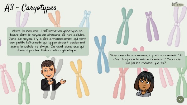 A3 - Caryotypes | Genially