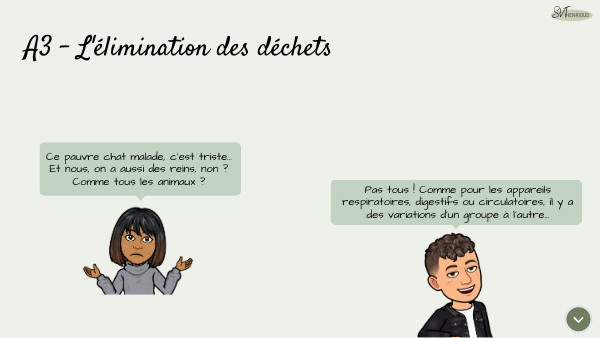 A3 - L'élimination des déchets | Genially