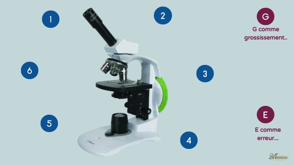 Utiliser le microscope | Genially
