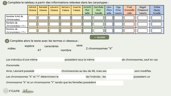 Questions A3 - Caryotypes