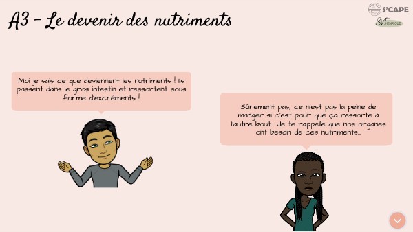 A3 - Le devenir des nutriments | Genially